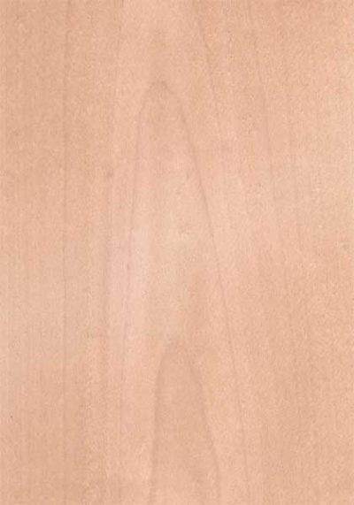 Madera maciza de Haya Vaporizada en stock, con medidas y gruesos.